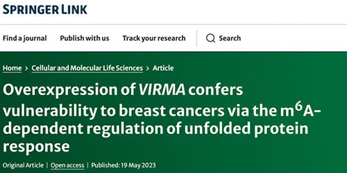 Overexpression of VIRMA confers vulnerability to breast cancers | MCQ ...